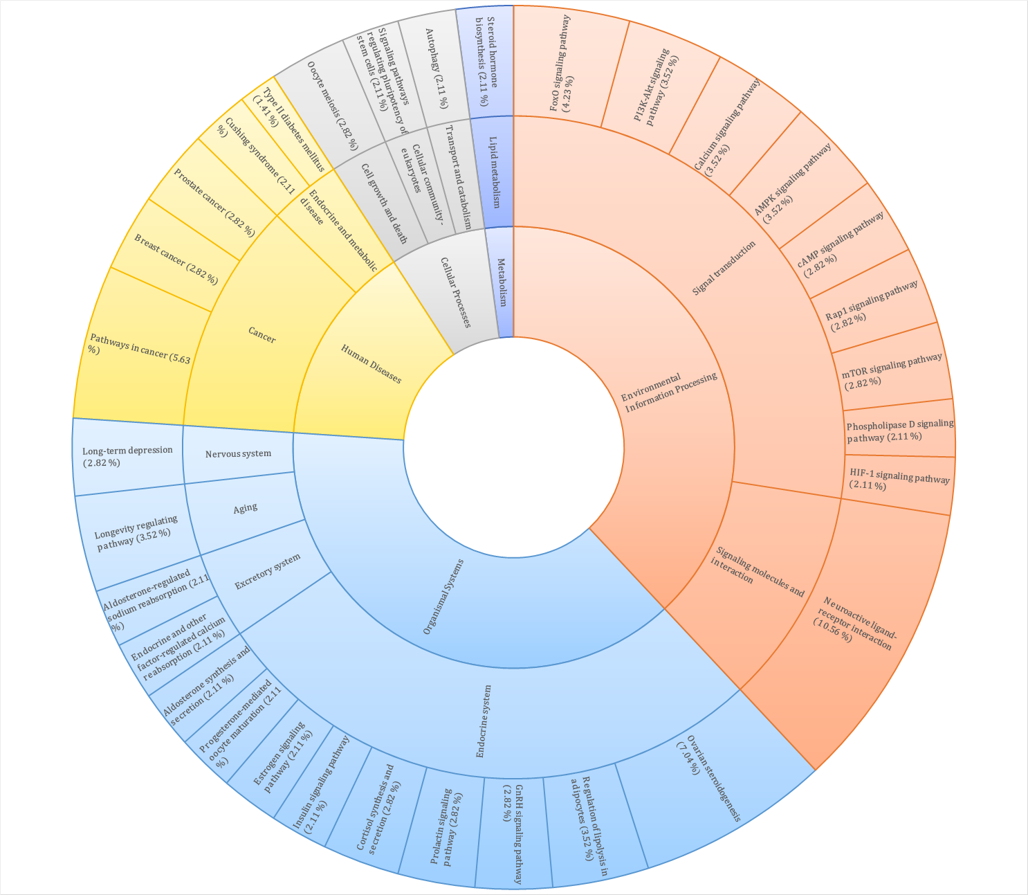 Enrichment analyses of diseases and pathways associated with precocious ... Enrichment analyses of diseases and pathways associated with precocious ...