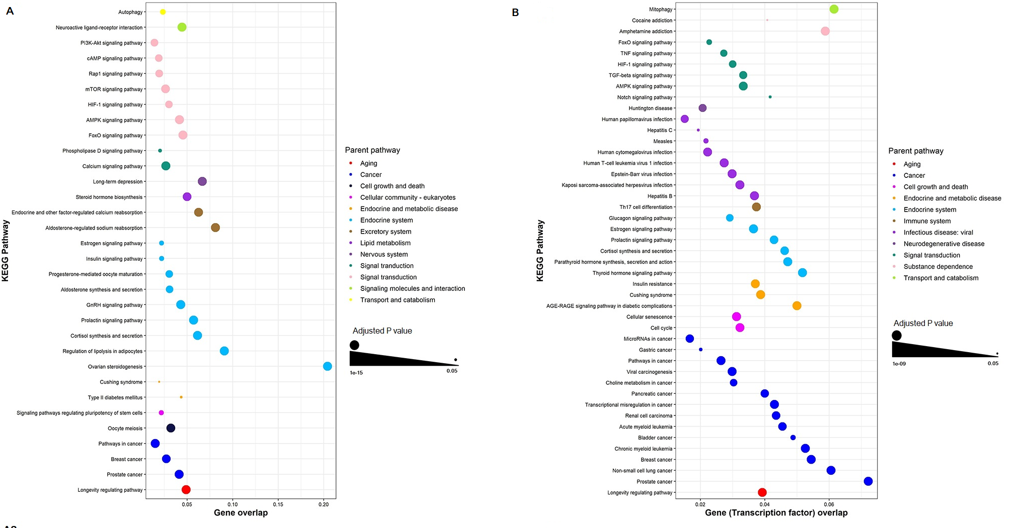 Enrichment analyses of diseases and pathways associated with precocious ... Enrichment analyses of diseases and pathways associated with precocious ...